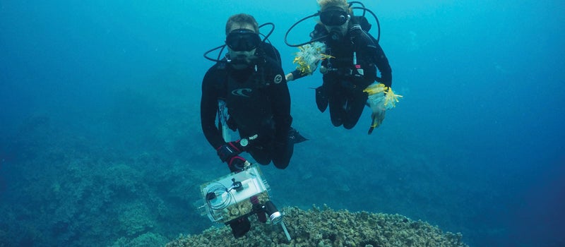 Faculty excellence | Arizona State University